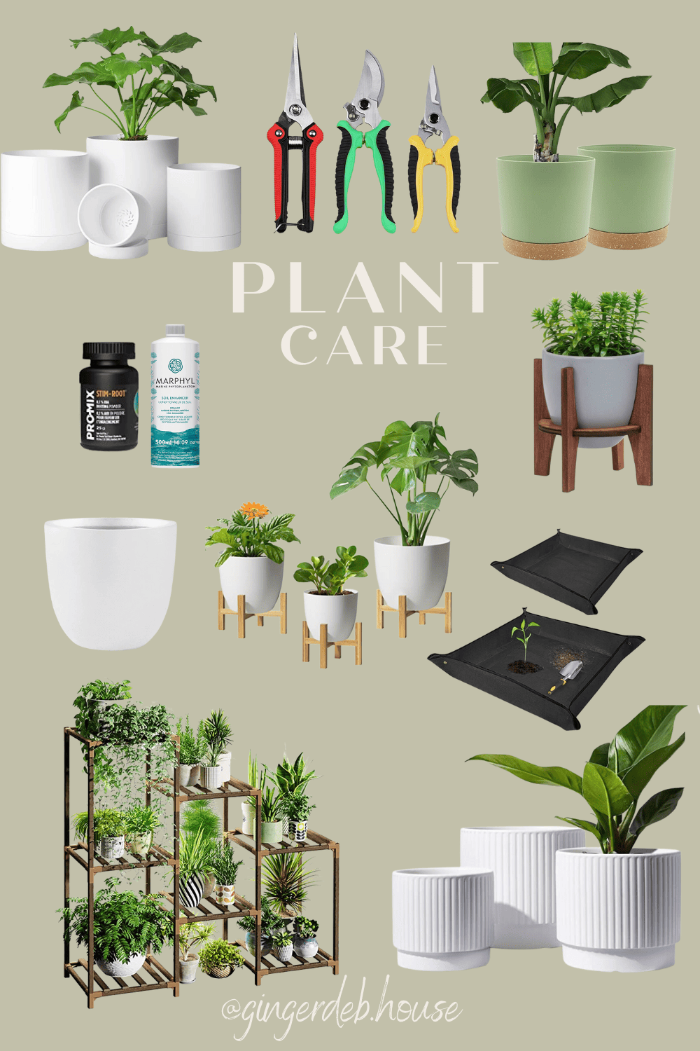 The Best Guide For How To Repot A Plant | Fleurish Collective