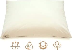 10 Best Organic, Non-Toxic Pillows in Canada (2024) | Fleurish Collective