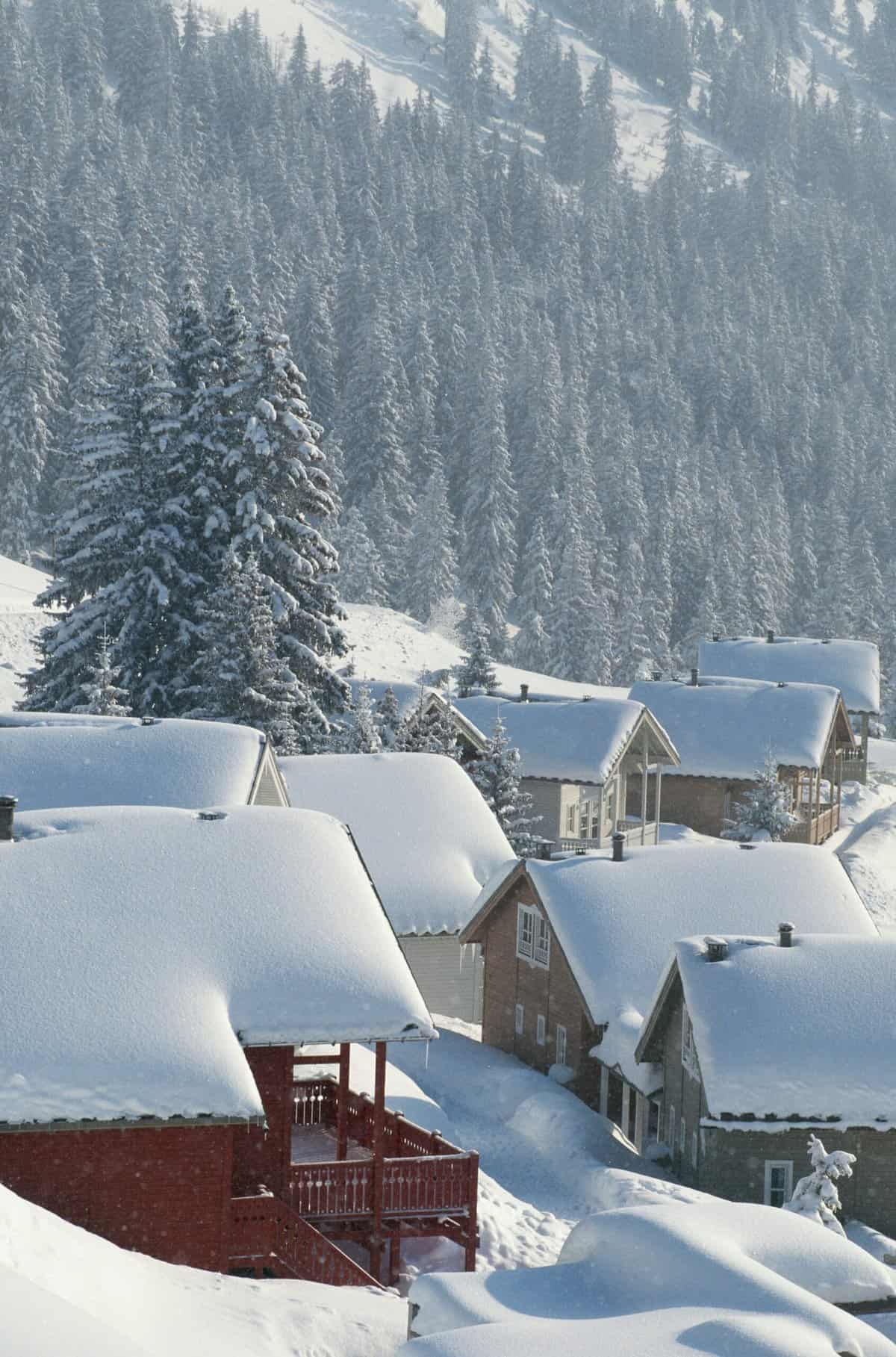 24 Cozy Winter Bucket List Activities and Ideas for Adults & Kids ...