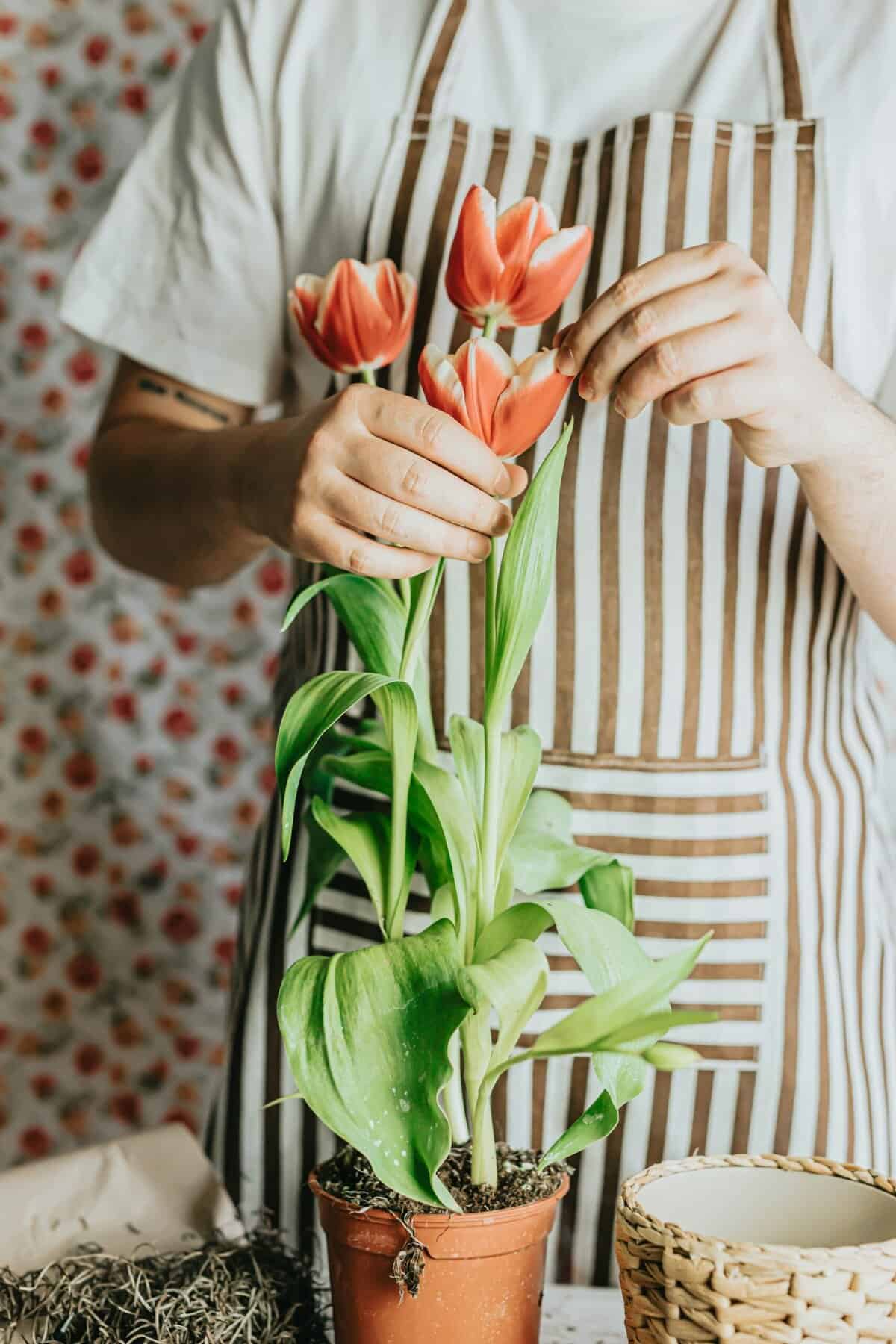 31 Fun Hobbies to Try This Spring & Summer for Adults (2025) | Fleurish ...